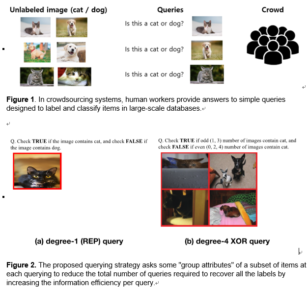 Binary Classification With Xor Queries Fundamental Limits And An
